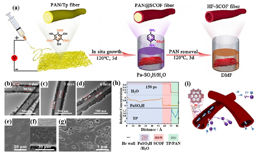 AEM—SCOF中空纤维构建钒液流电池的离子选择性传导纳米管网-贺高红教授 膜科学与过程课题组