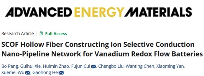 AEM—SCOF中空纤维构建钒液流电池的离子选择性传导纳米管网-贺高红教授 膜科学与过程课题组